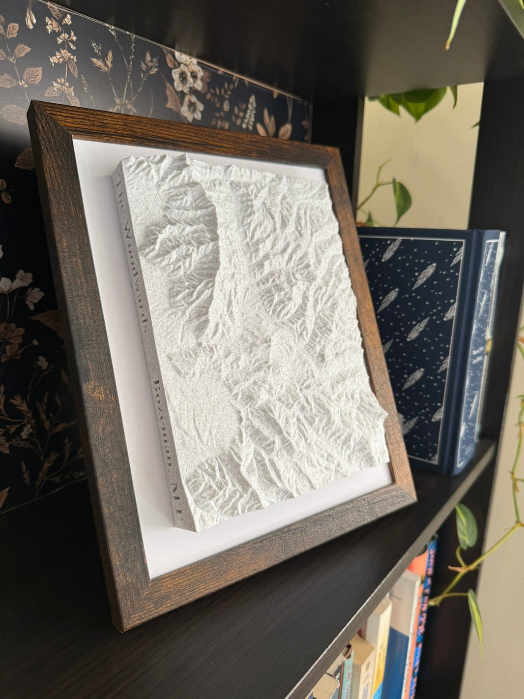 Terrastratas | Custom & Ready-Made 3D Topographic Maps